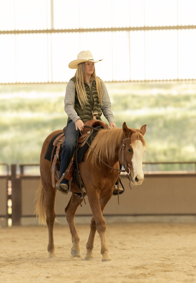 CP Lopin Machine (Arlo) - Performance Horse Sales - Cal Poly, San Luis Obispo